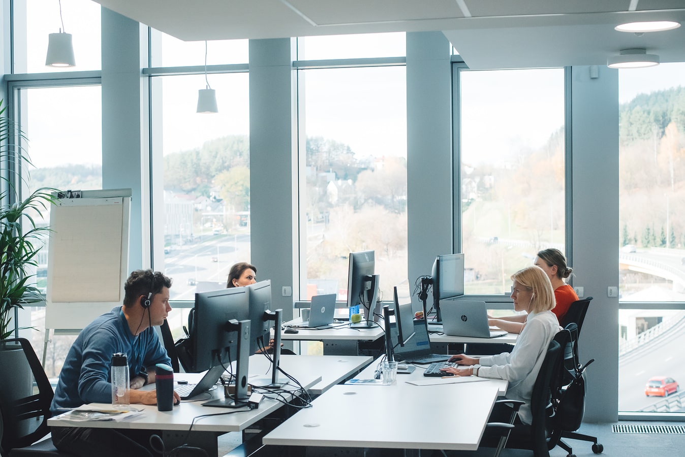 B2B online mokymai: Alna Software