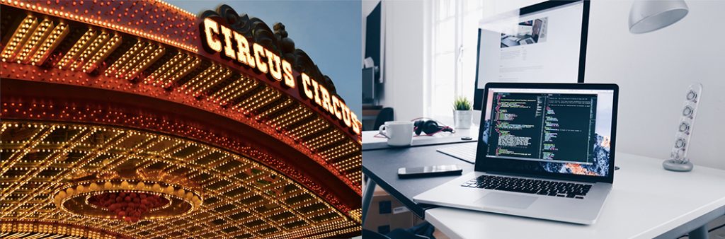 5 įdomūs faktai apie Python programavimo kalbą